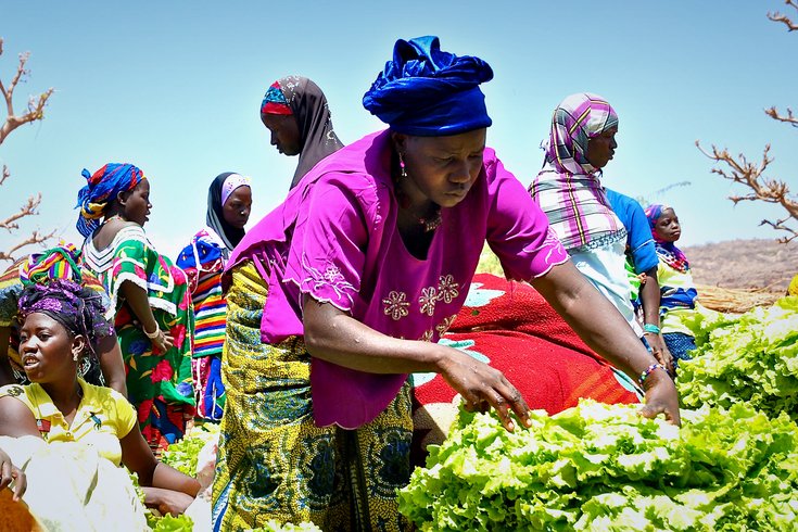 Mali: Economic factors behind the crisis | ODI: Think change