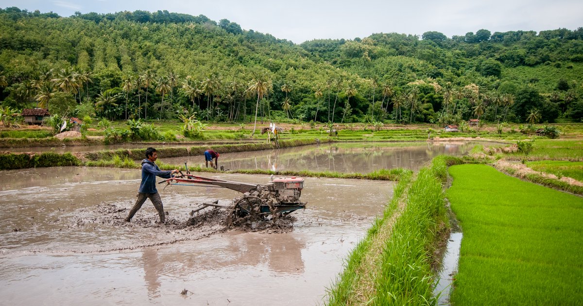 Climate risks and adaptation in the Indonesian water sector: a rapid ...
