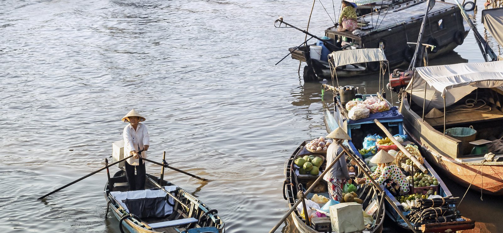 Climate and Sustainability | ODI: Think change