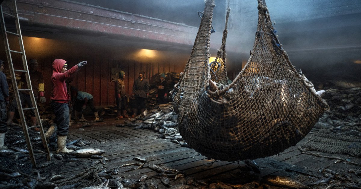 China’s distant-water fishing fleet: scale, impact and governance | ODI ...